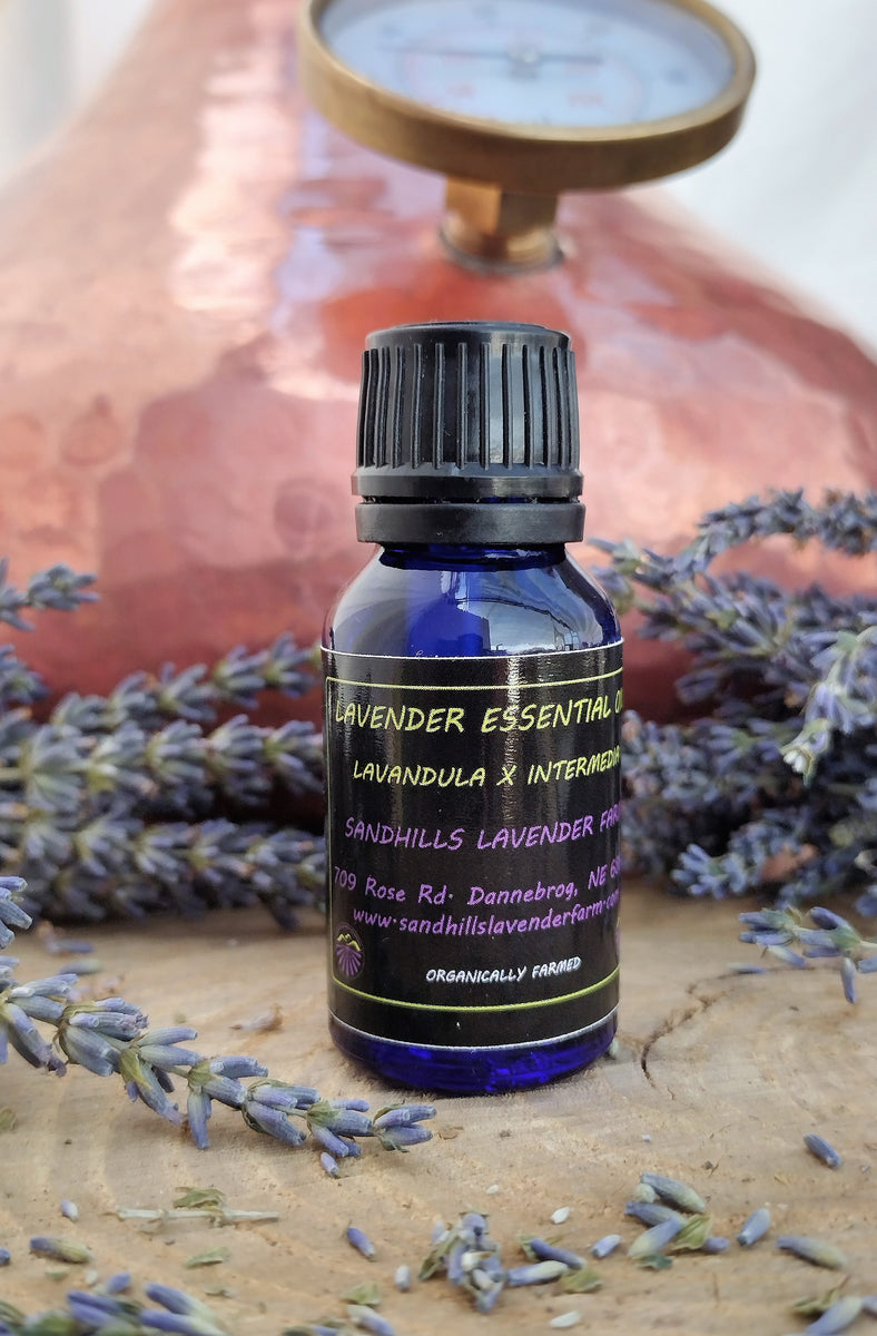 Organic Lavender Essential Oil - 15ml – Sandhills Lavender Farm